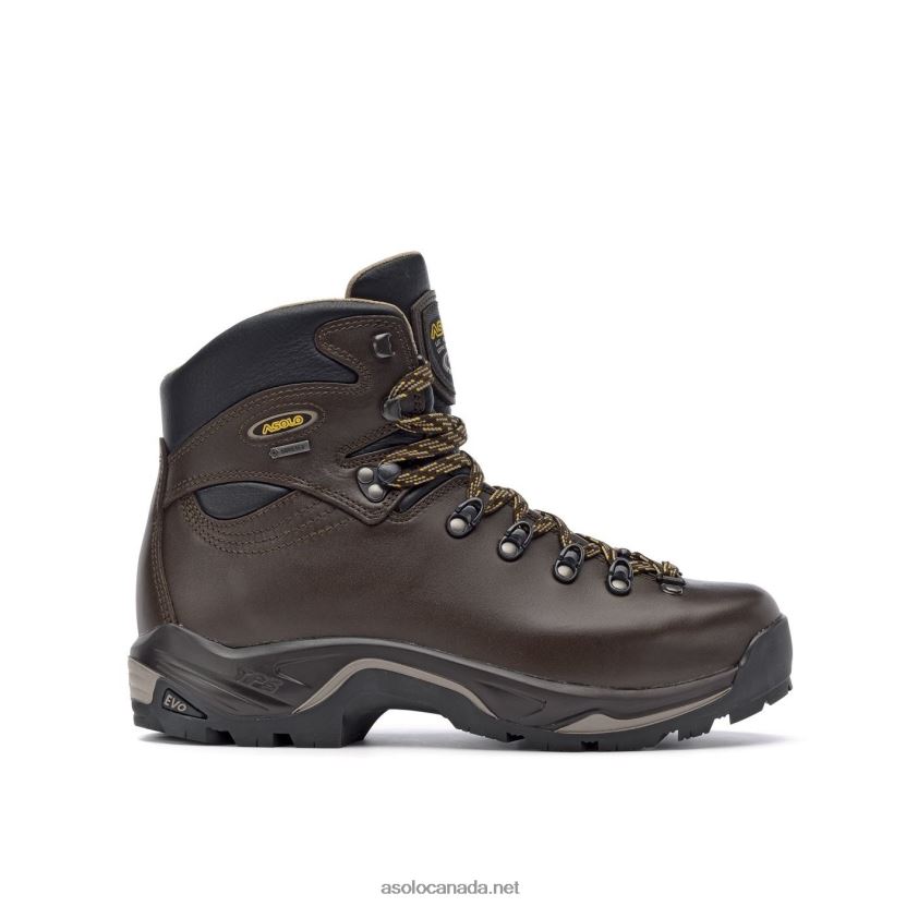 TPS 520 GV evo Men Asolo Chesnut F84F4D66 [F84F4D66] : Asolo Canada ...