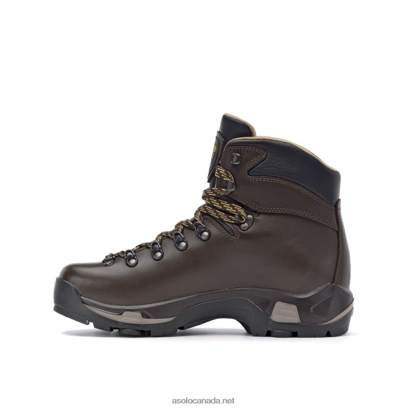 TPS 520 GV evo Men Asolo Chesnut F84F4D66 [F84F4D66] : Asolo Canada ...